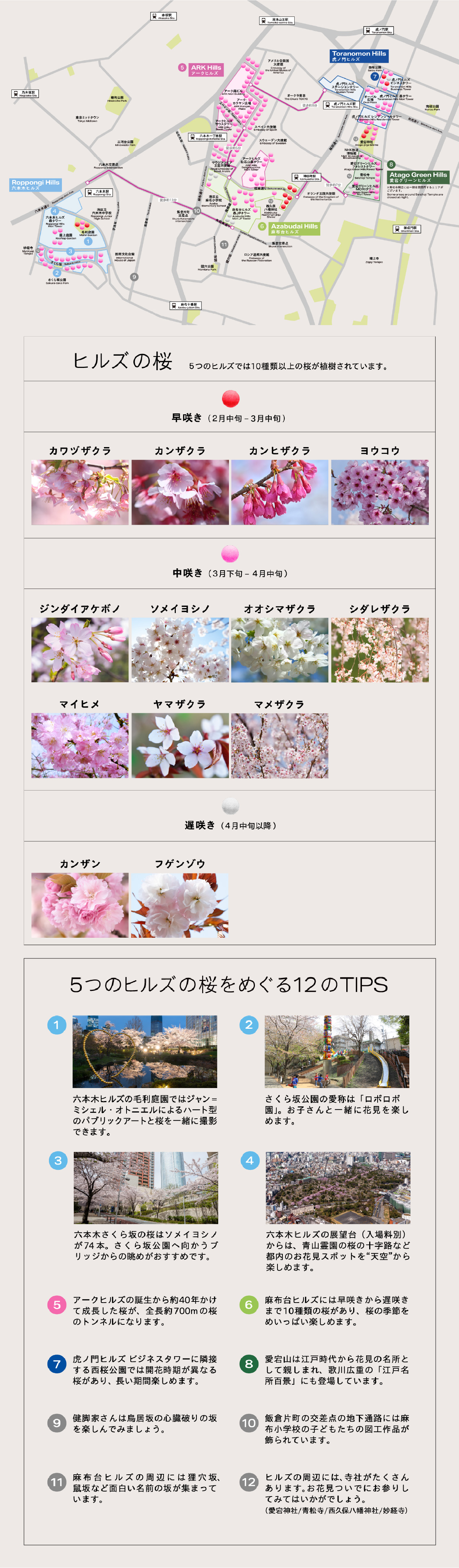 HILLS SAKURA JOURNEY - この春、ヒルズの桜をめぐる旅に出かけてみませんか。